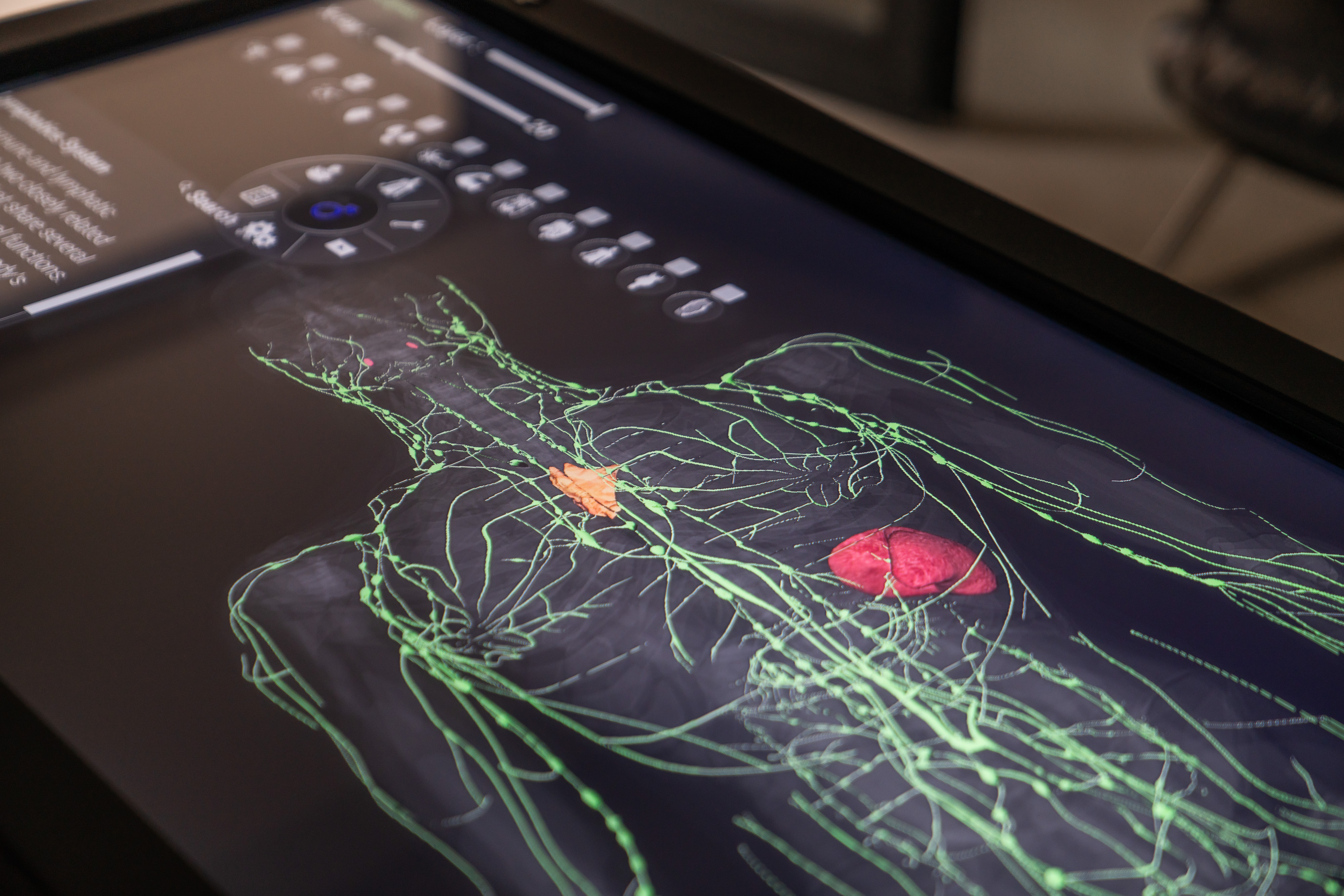 ავიცენა - ბათუმის სამედიცინო უნივერსიტეტი - კლინიკური უნარ-ჩვევების ...